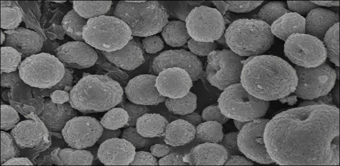 SBwell | LMFP 양극재 파우더